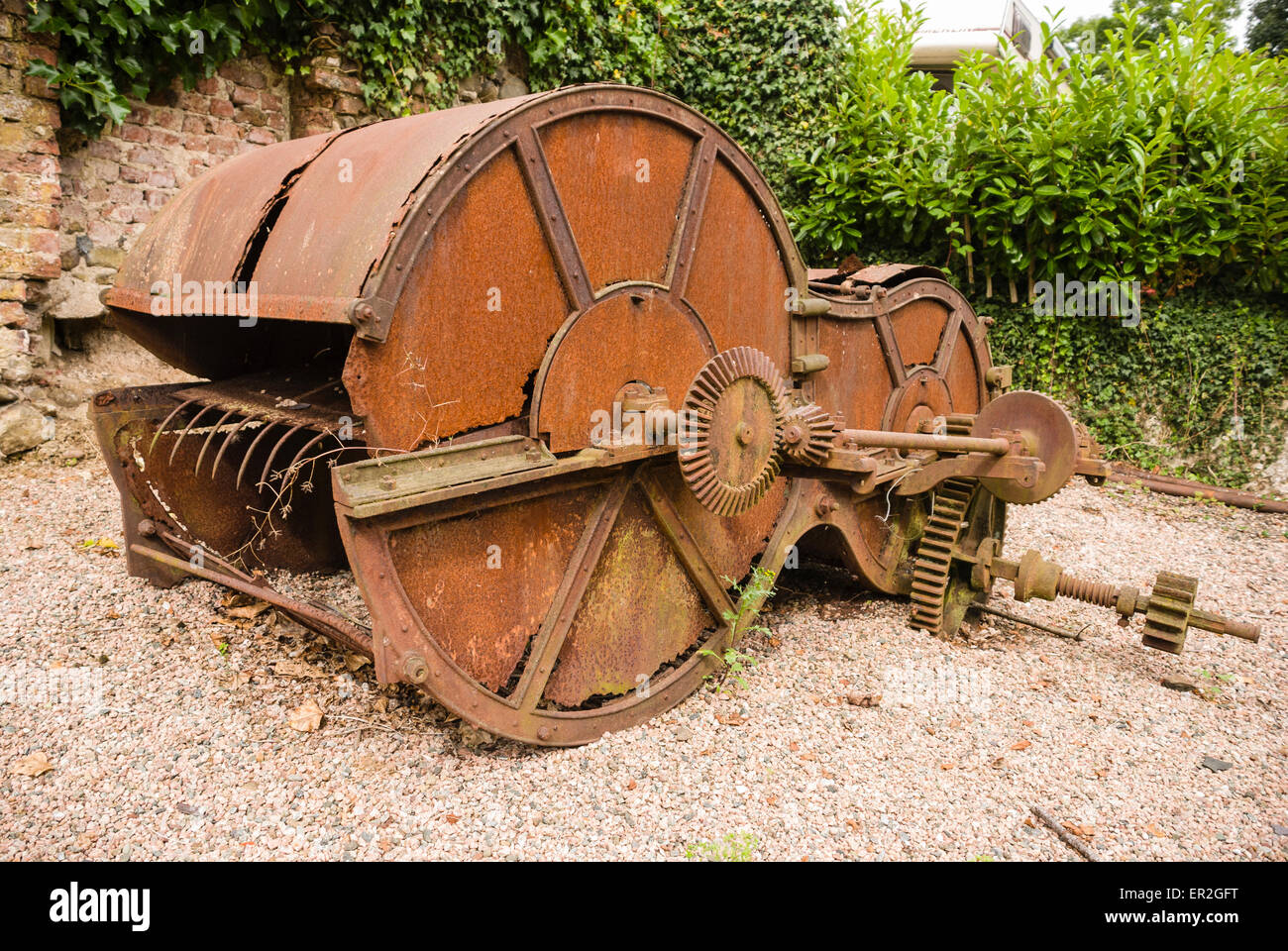 Old, rusty silage harvesting machine for lifting cut silage in a field ...