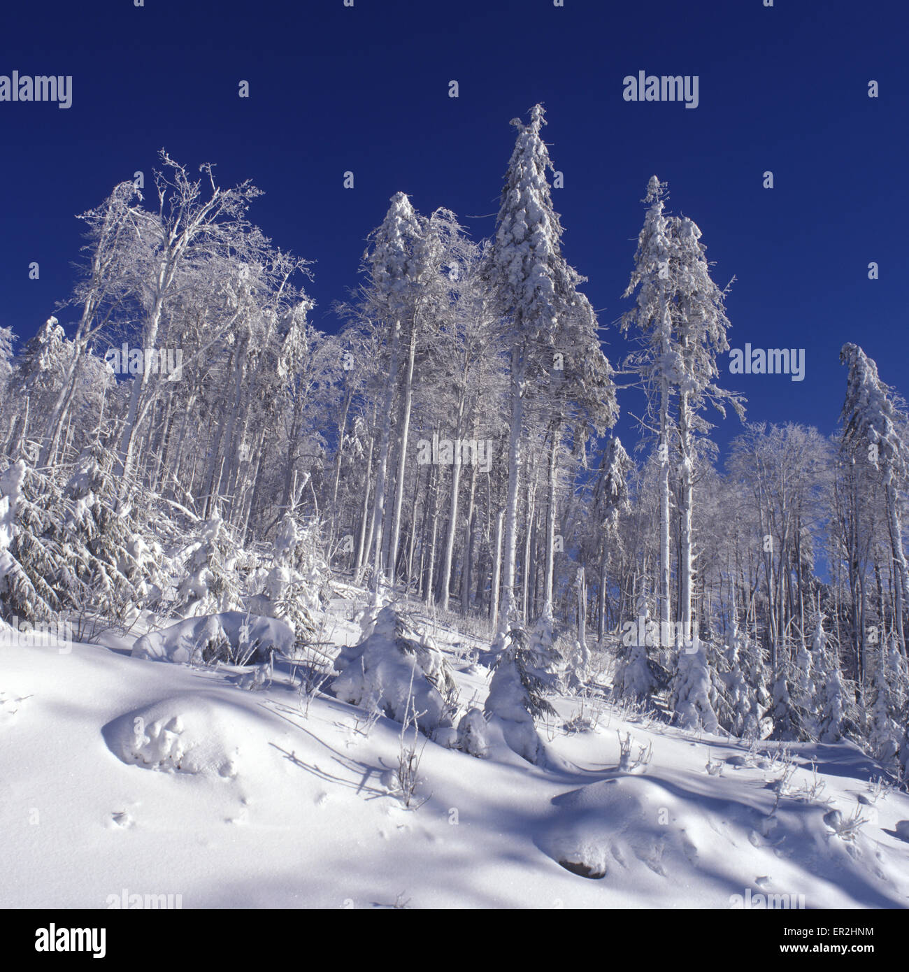 Slowakische Republik High Resolution Stock Photography and Images - Alamy