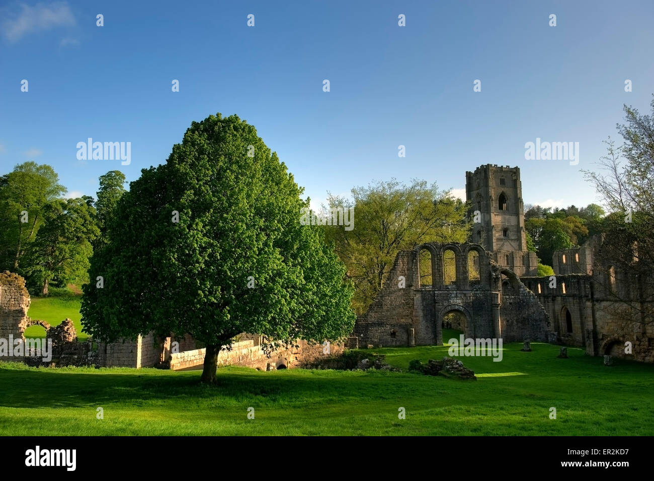 Fountains Abbey, one of the largest ruined Cistercian monasteries in ...