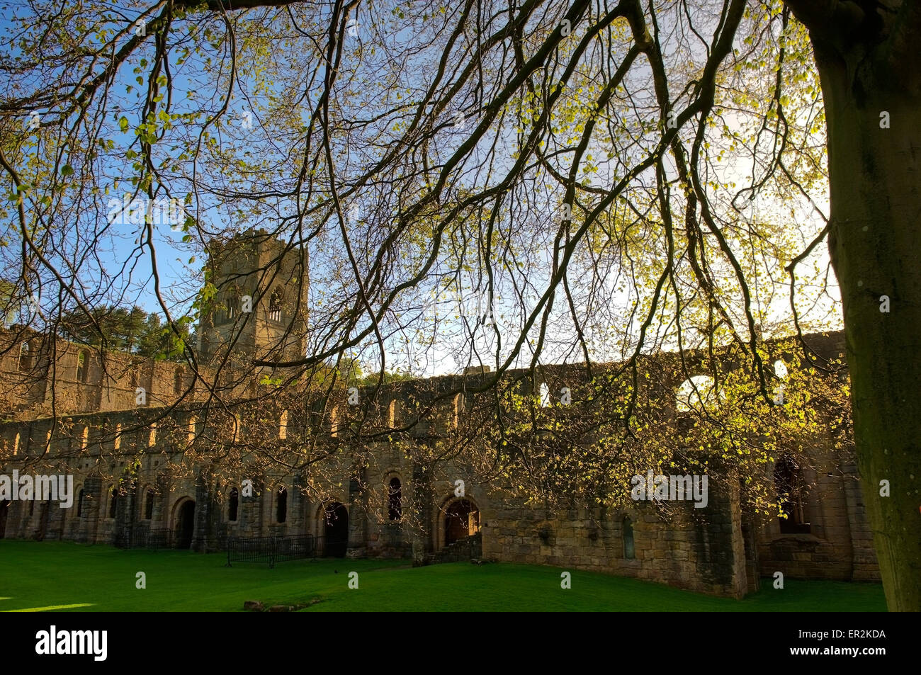 Fountains Abbey, one of the largest ruined Cistercian monasteries in ...