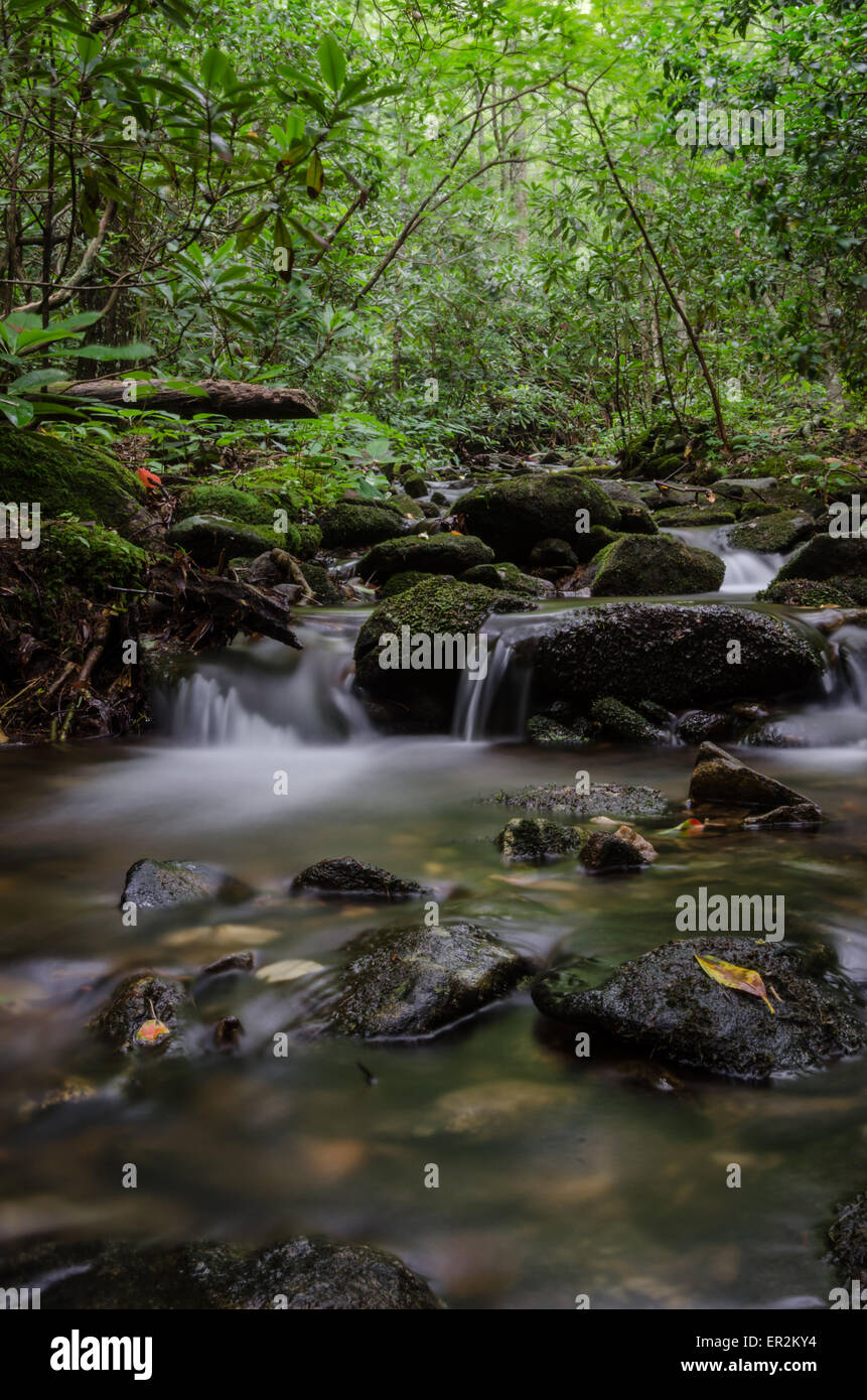 A creek just off the Appalachian Trail in Northern Georgia Stock Photo ...