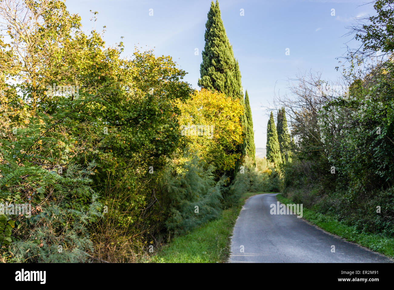 Generic country road hi-res stock photography and images - Alamy