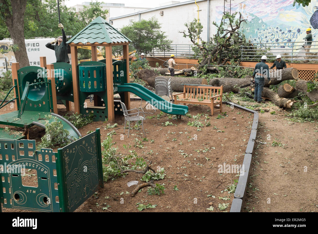 Austin, Texas, USA. 25th May, 2015. Trees lay severed and uprooted in a ...