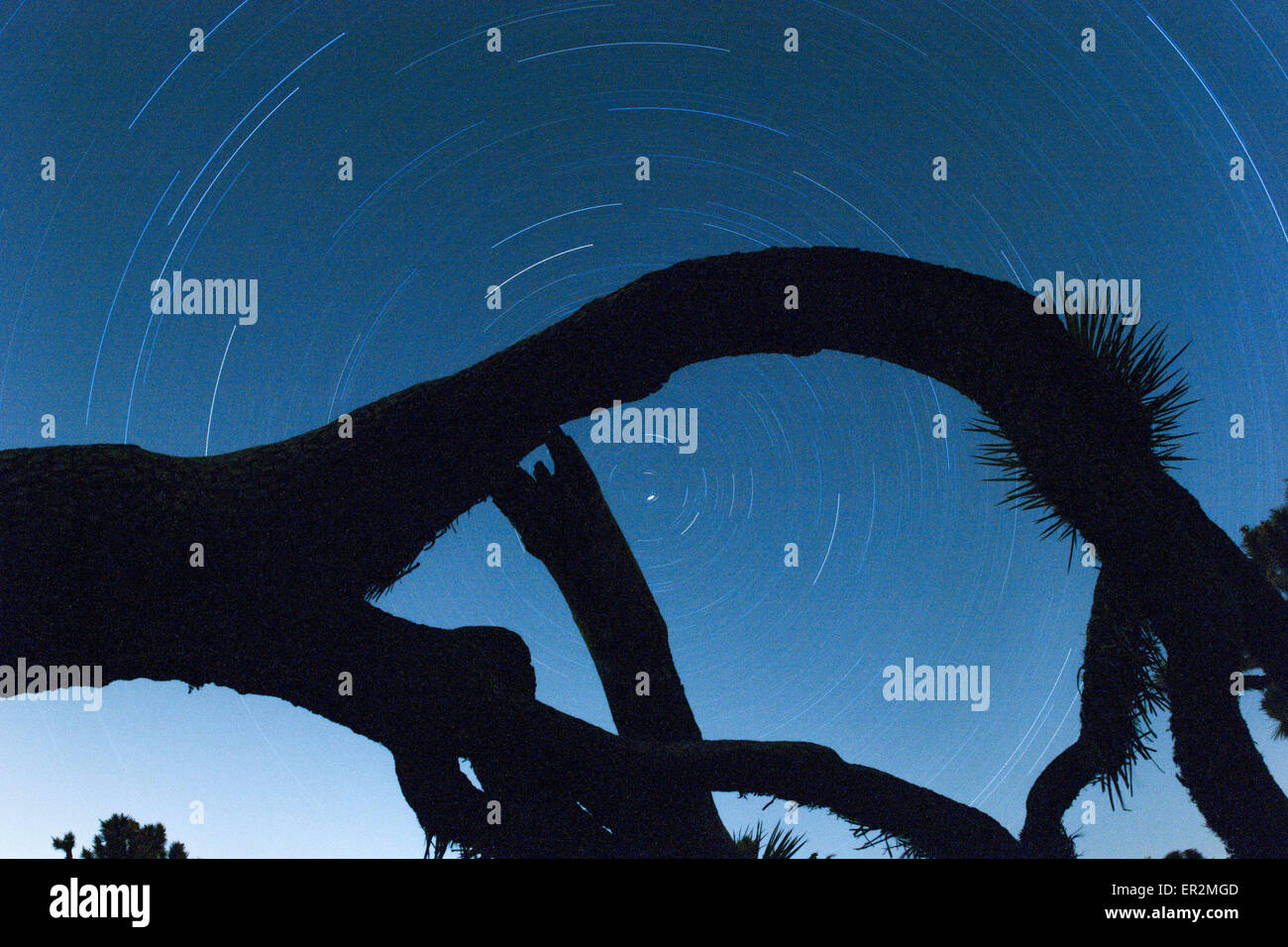 Los Angeles, California, USA. 24th May, 2015. Star trails are seen ...