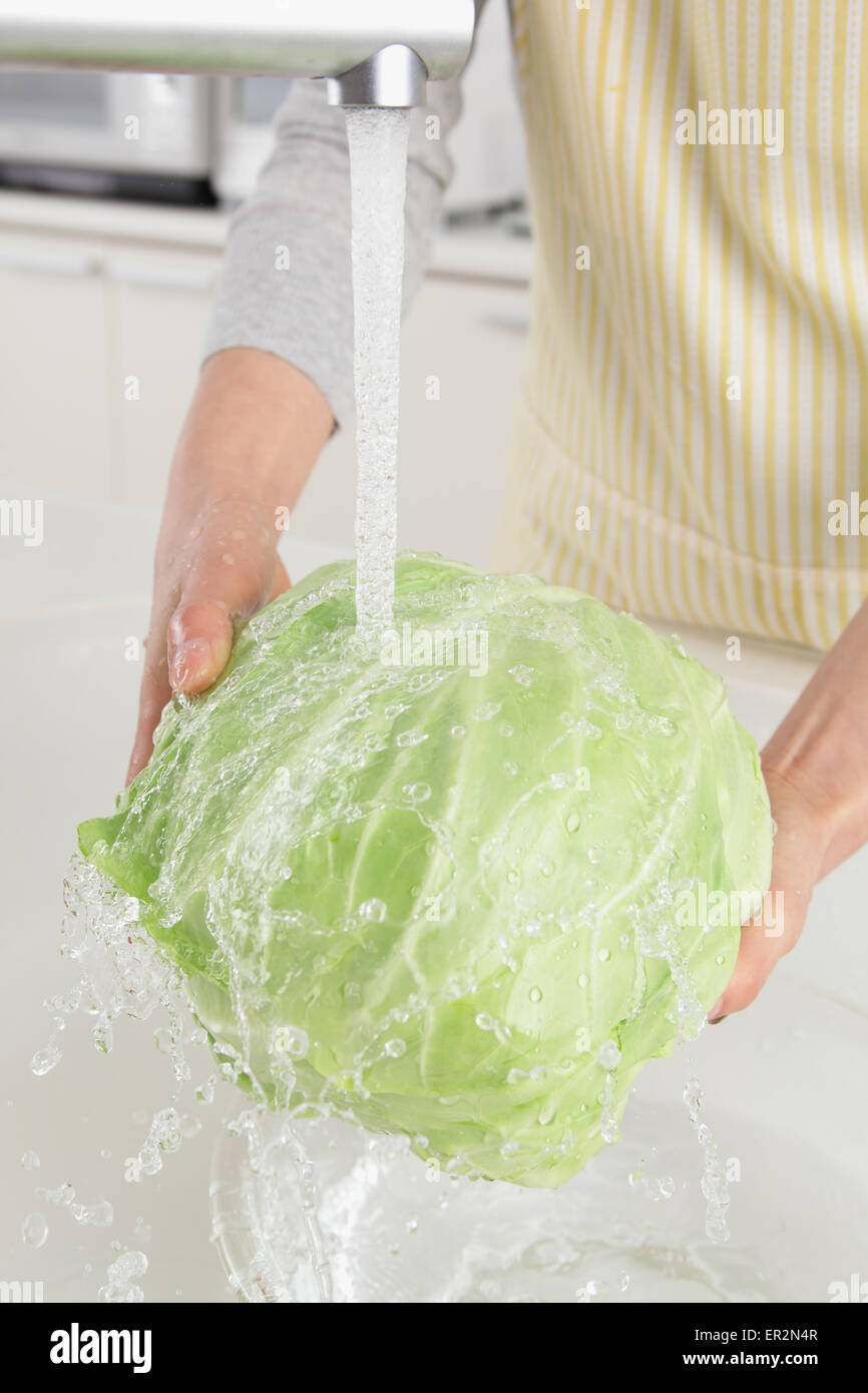 Woman washing cabbage in an open kitchen Stock Photo - Alamy