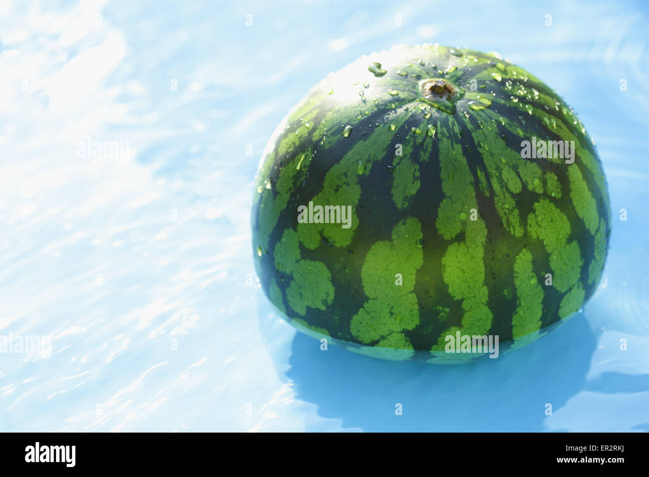 Watermelon in the water Stock Photo - Alamy