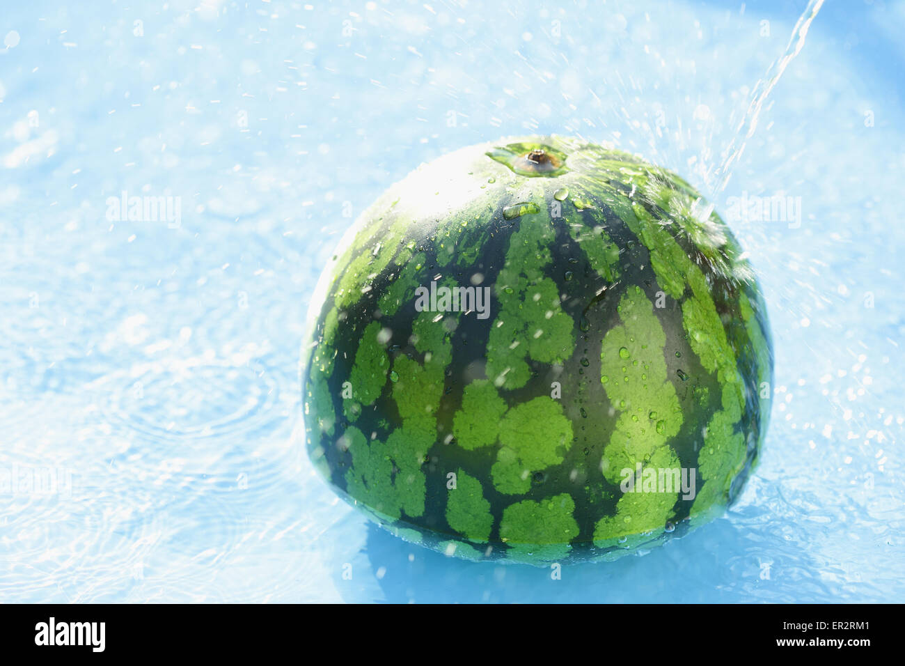 Whole watermelon with water splash hi-res stock photography and images ...