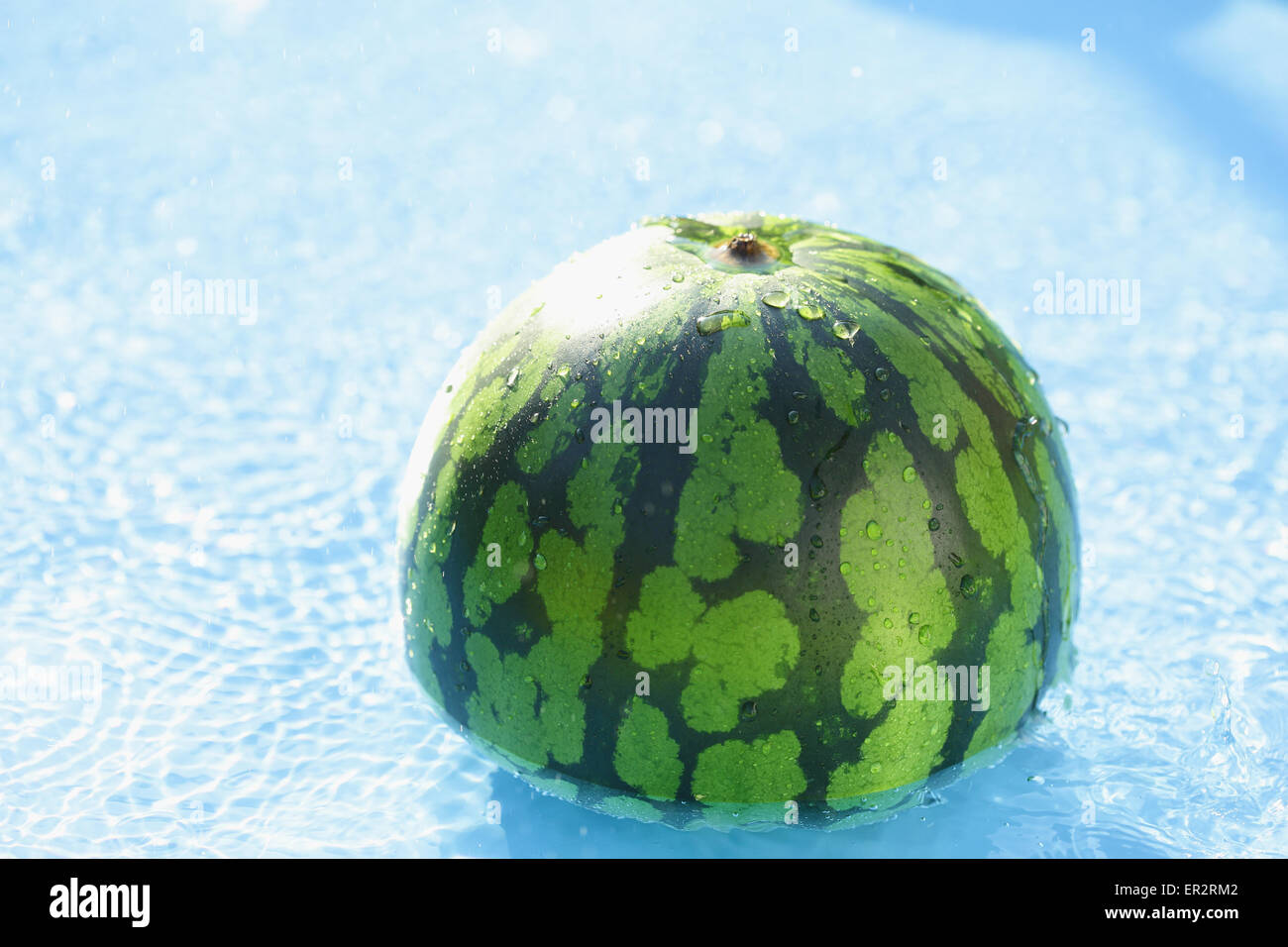 Watermelon in the water Stock Photo - Alamy