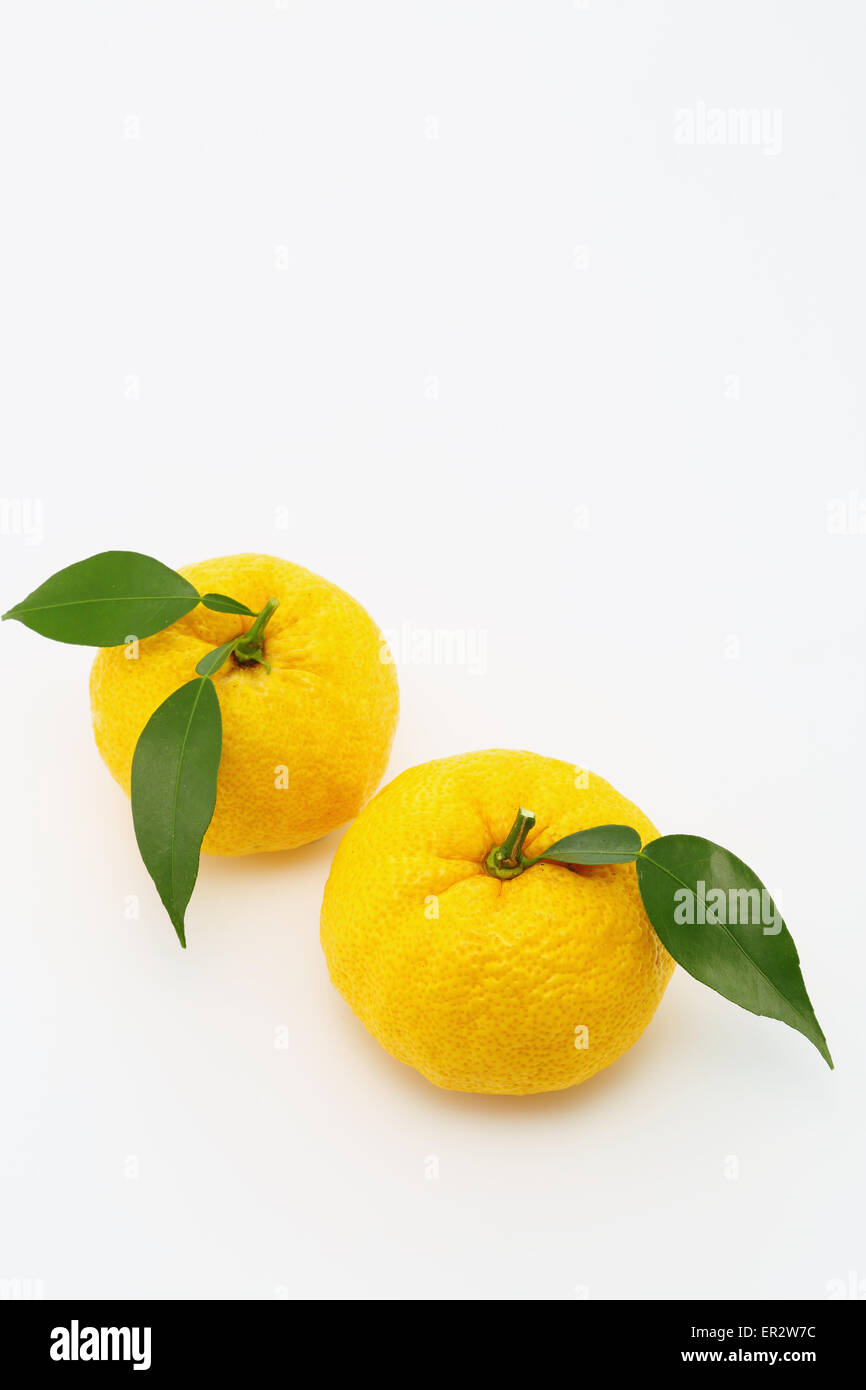 Yuzu fruit hi-res stock photography and images - Alamy