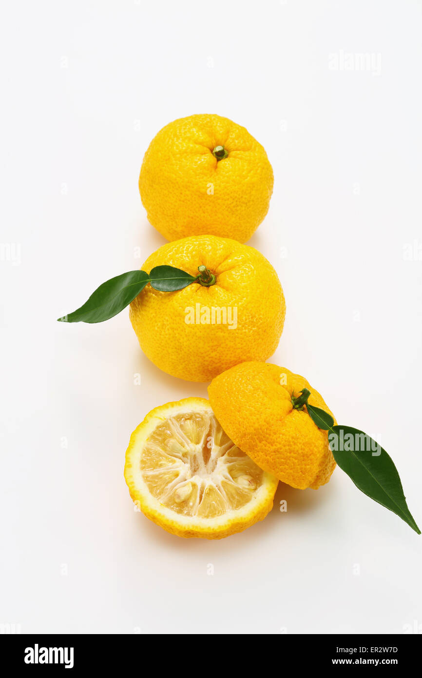 Yuzu cut hi-res stock photography and images - Alamy