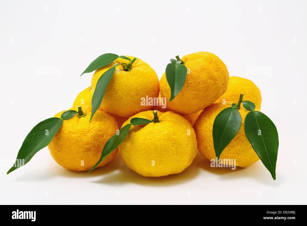Yuzu fruit hi-res stock photography and images - Alamy