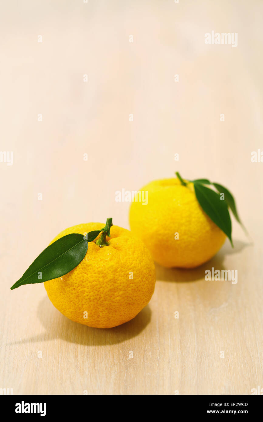 Yuzu citron hi-res stock photography and images - Alamy