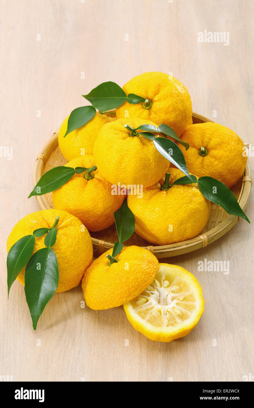 Yuzu cut hi-res stock photography and images - Alamy