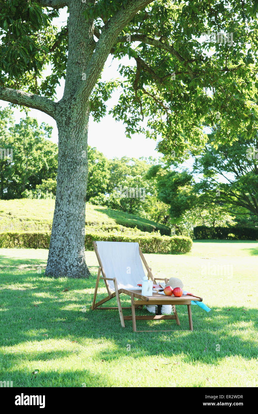 Deck chair in a city park Stock Photo - Alamy