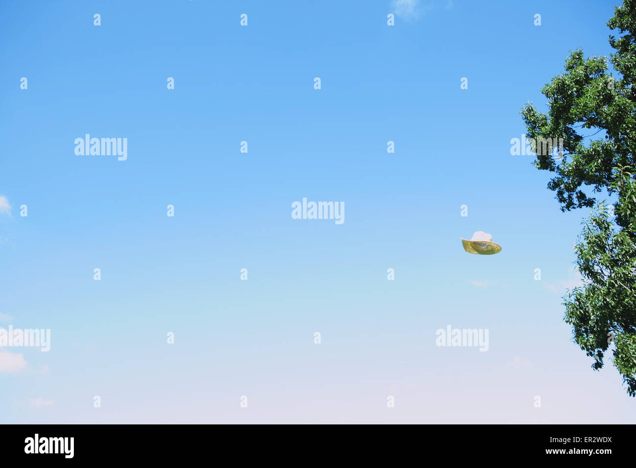 Straw flying hi-res stock photography and images - Alamy