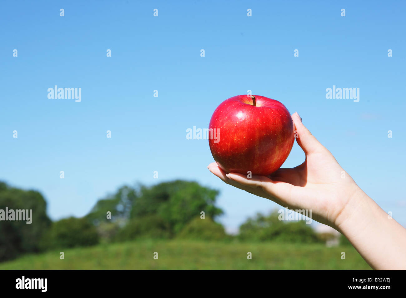 Hand holding up apple hi-res stock photography and images - Alamy