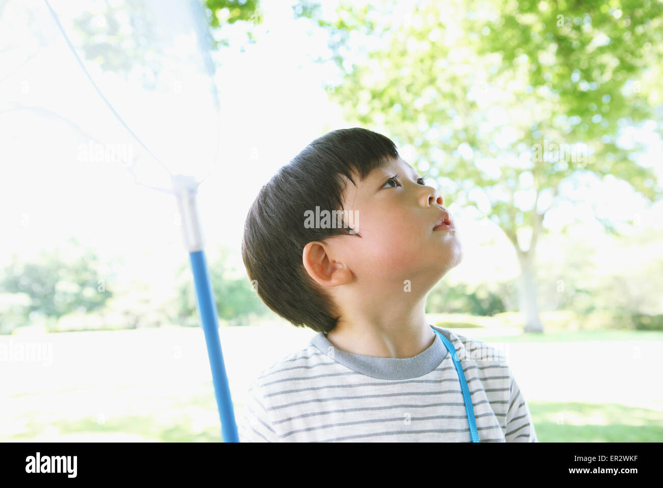 Japanese young boy with butterfly net in a city park Stock Photo - Alamy
