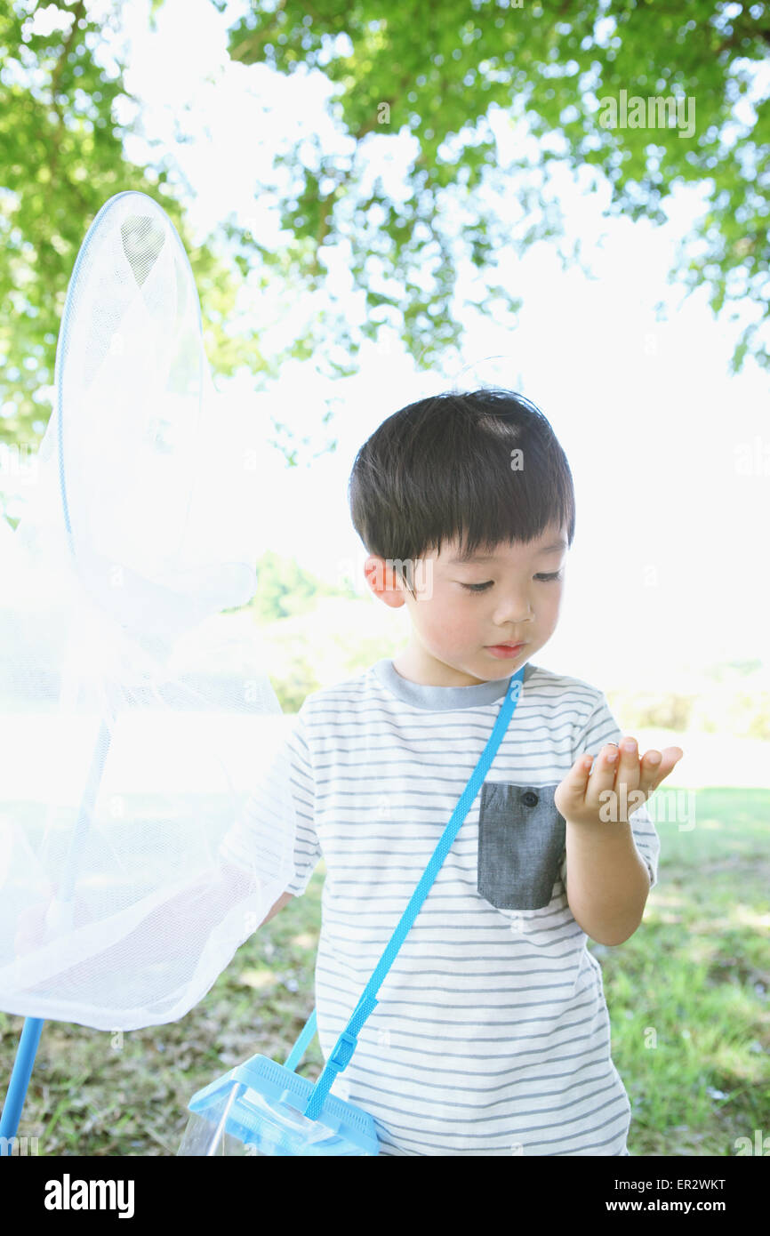 Japanese young boy with butterfly net in a city park Stock Photo - Alamy