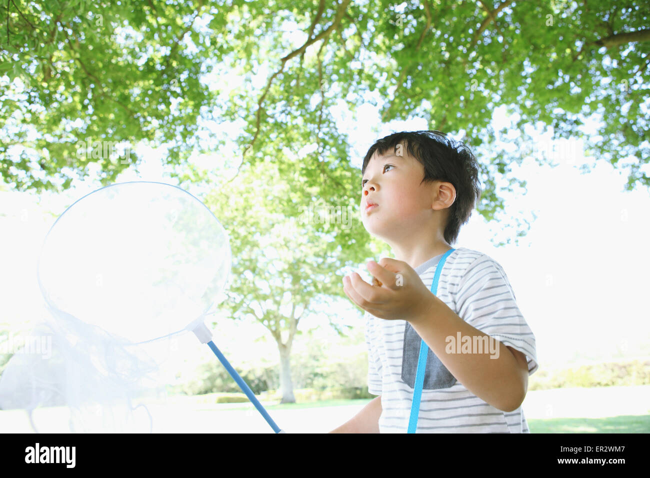 Japanese young boy with butterfly net in a city park Stock Photo - Alamy
