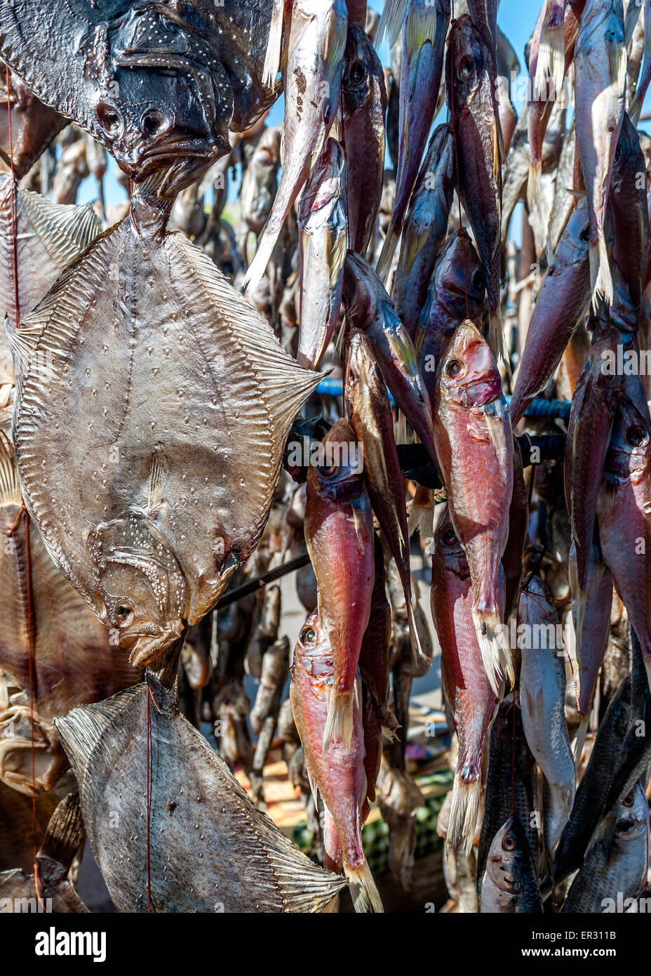 Crimean peninsula . Gifts of two seas - the Black and Azov . The fish ...