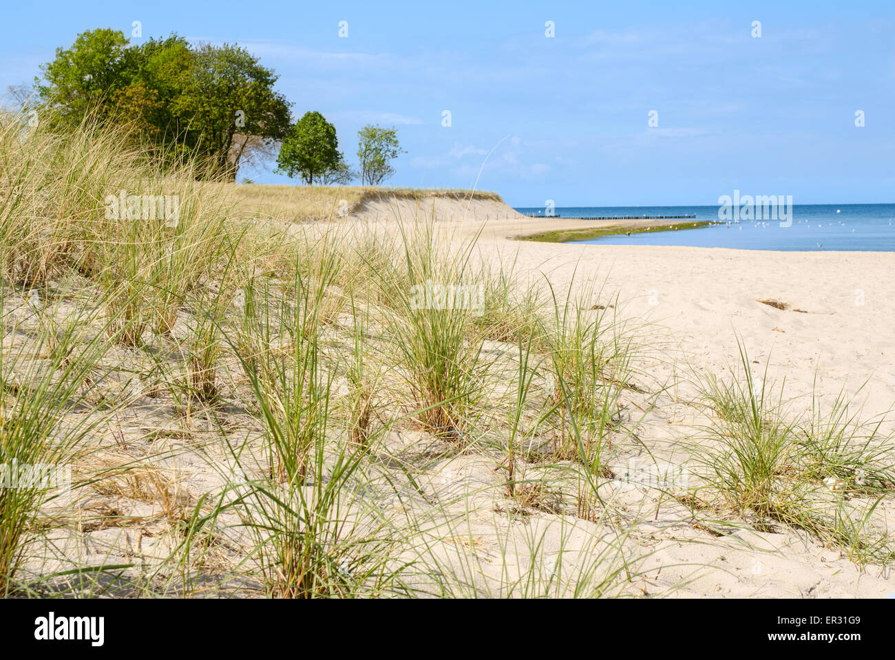 Natural beach on Baltic sea Stock Photo - Alamy