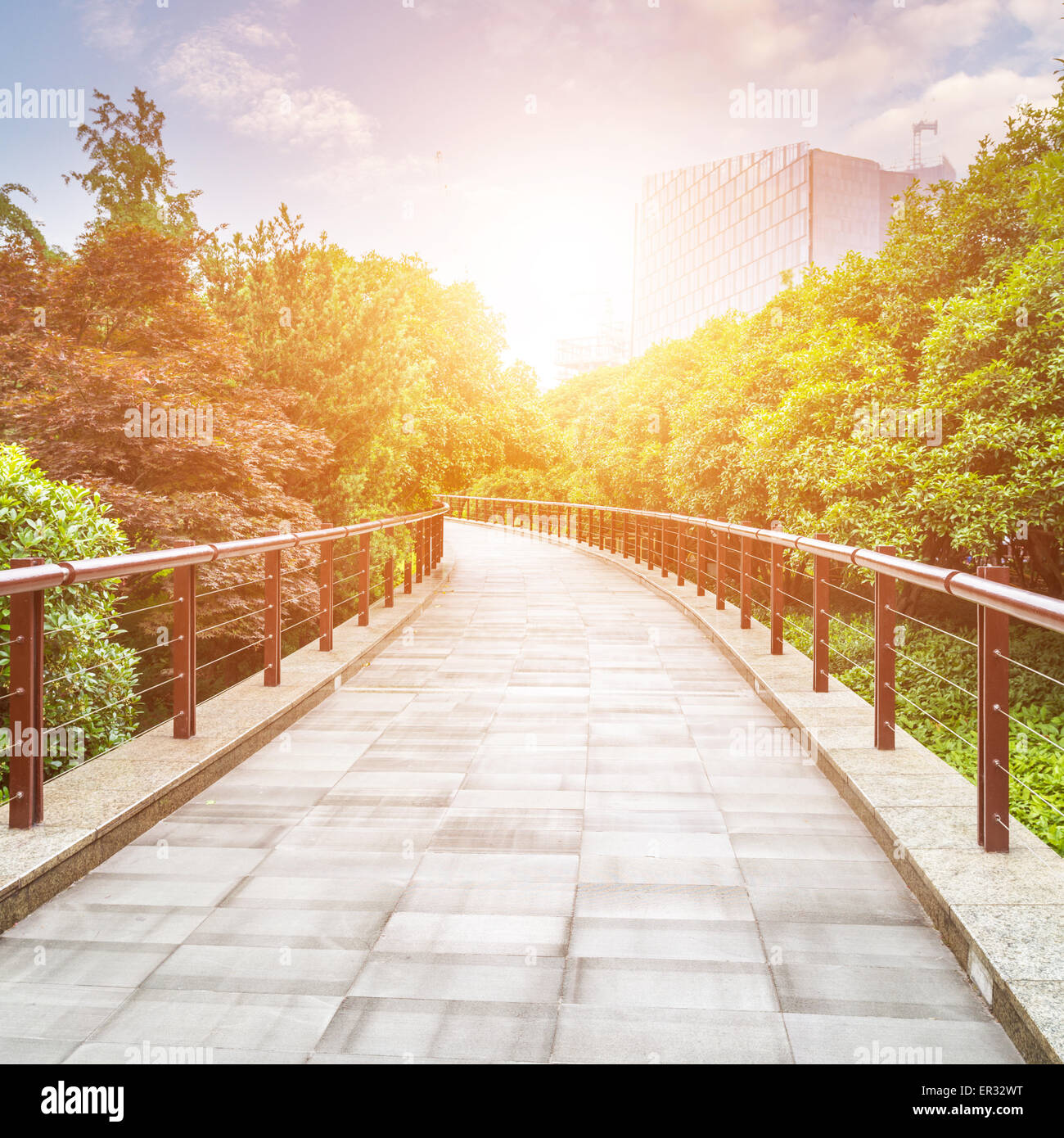 Alley with office buildings at shanghai Stock Photo - Alamy