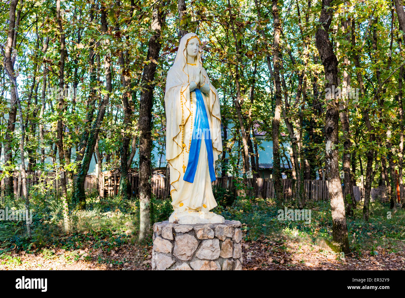 Statue of the Blessed Virgin Mary among ivy covered trees. Green weeds ...