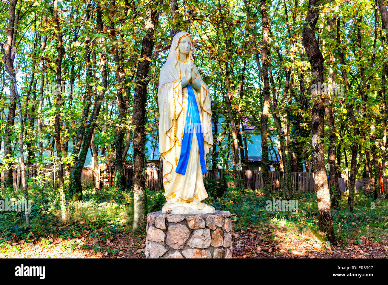 Statue of the Blessed Virgin Mary among ivy covered trees. Green weeds ...