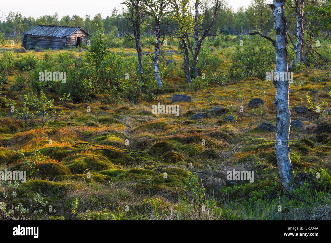 Landscape trees around barn hi-res stock photography and images - Alamy