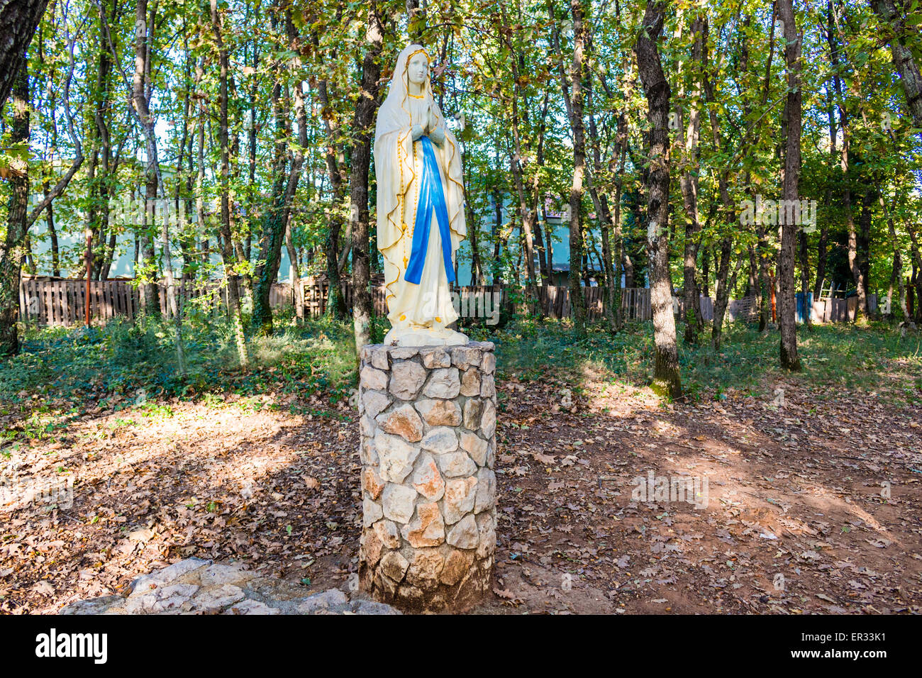 Statue of the Blessed Virgin Mary among ivy covered trees. Green weeds ...