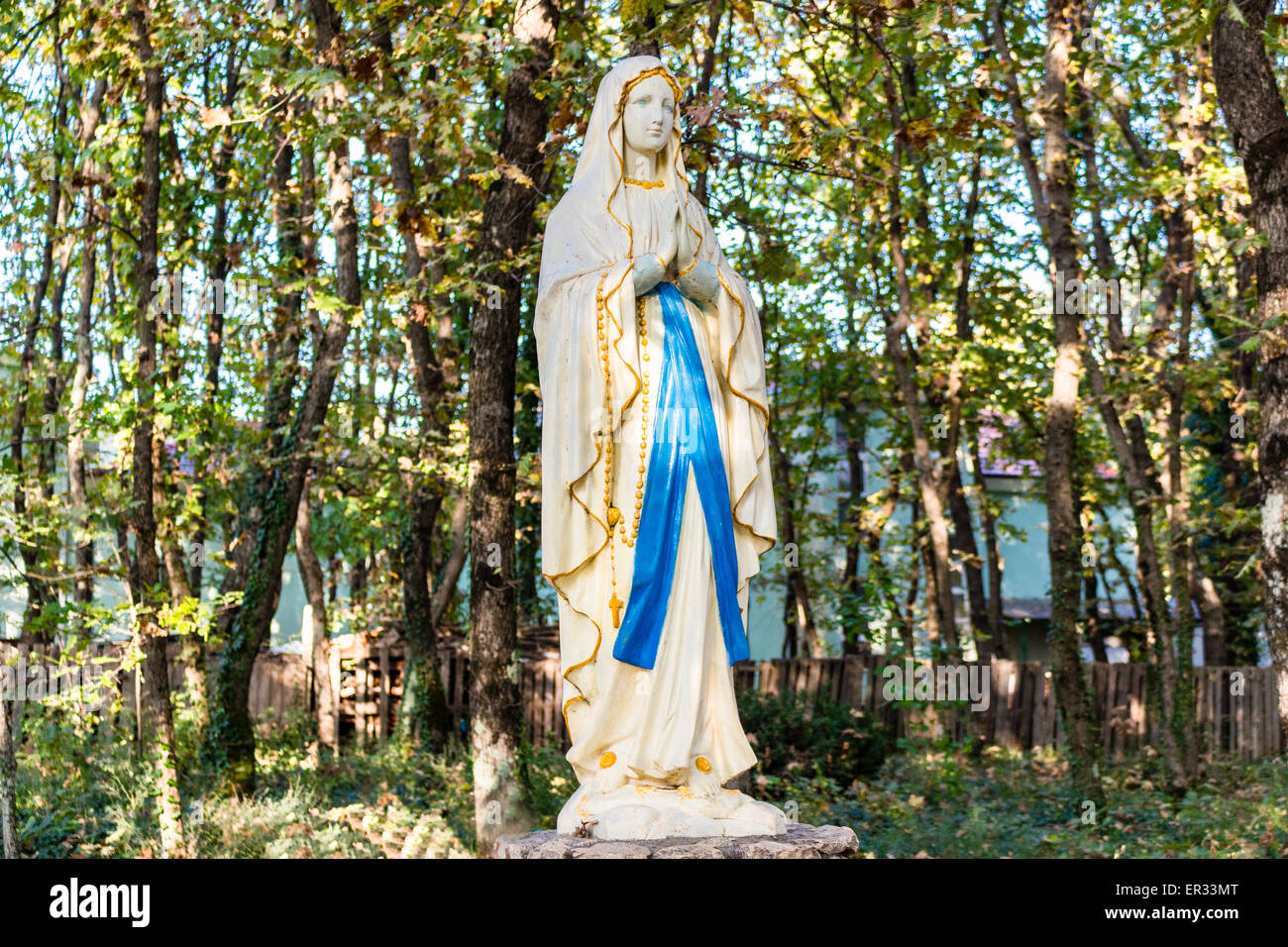 Statue of the Blessed Virgin Mary among ivy covered trees. Green weeds ...