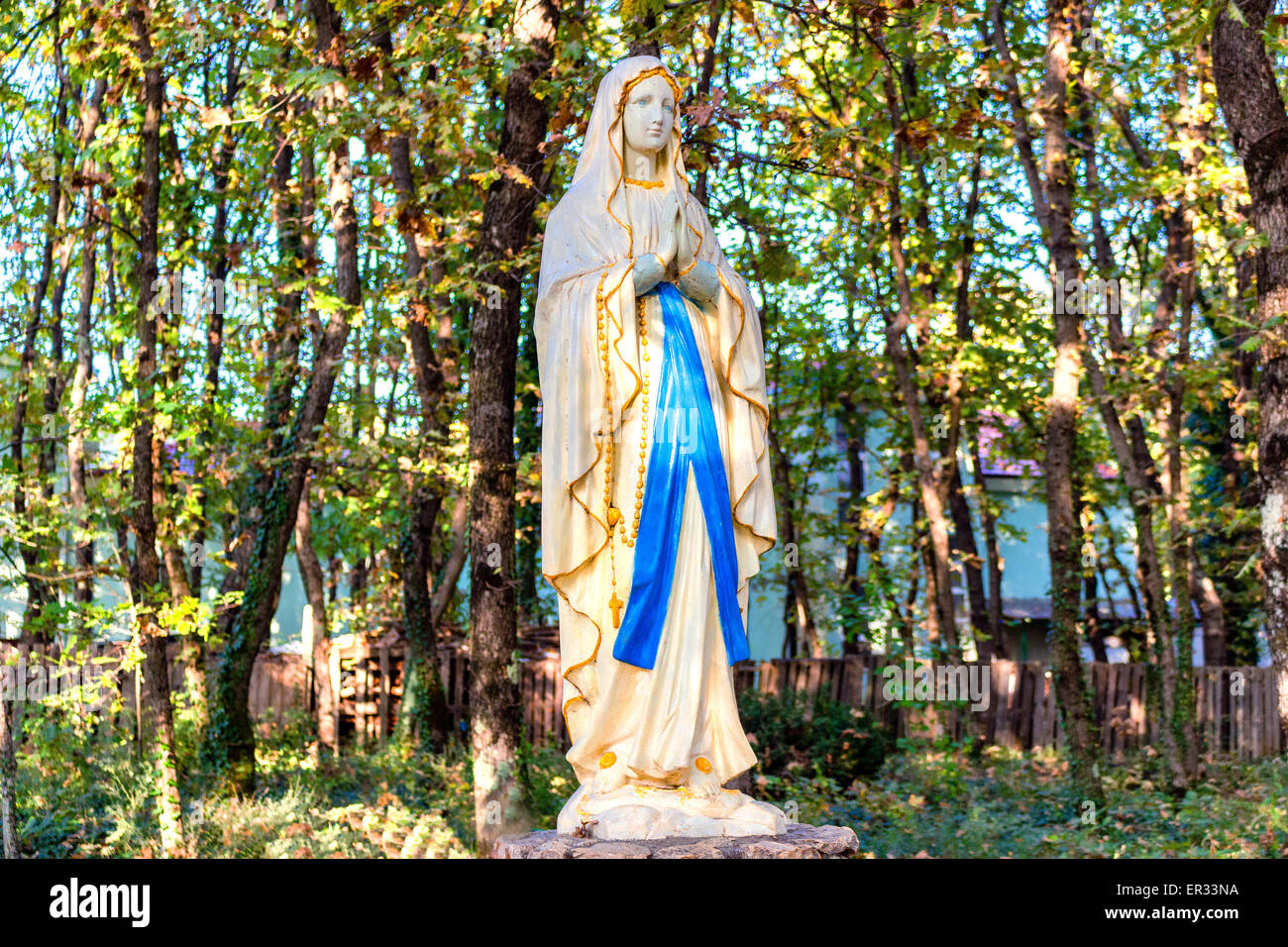 Statue of the Blessed Virgin Mary among ivy covered trees. Green weeds ...