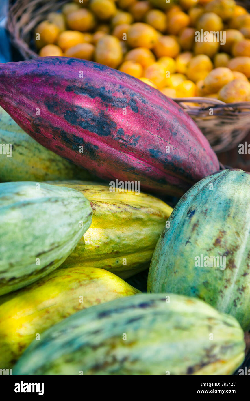 Red cacau fruit hi-res stock photography and images - Alamy