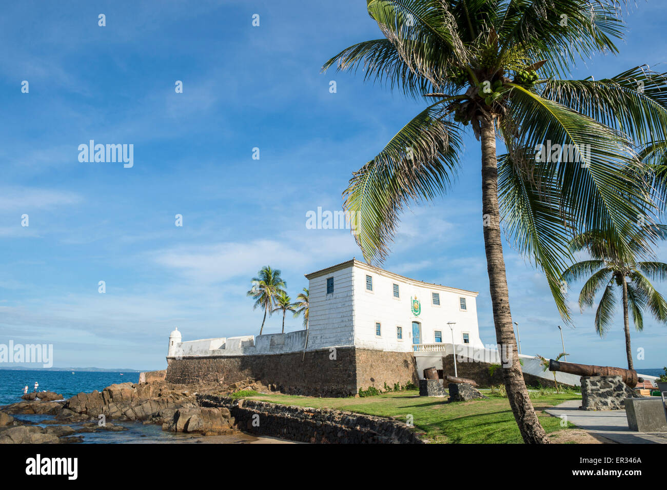 Palm trees tower over scenic view of Fort Santa Maria with the Barra ...