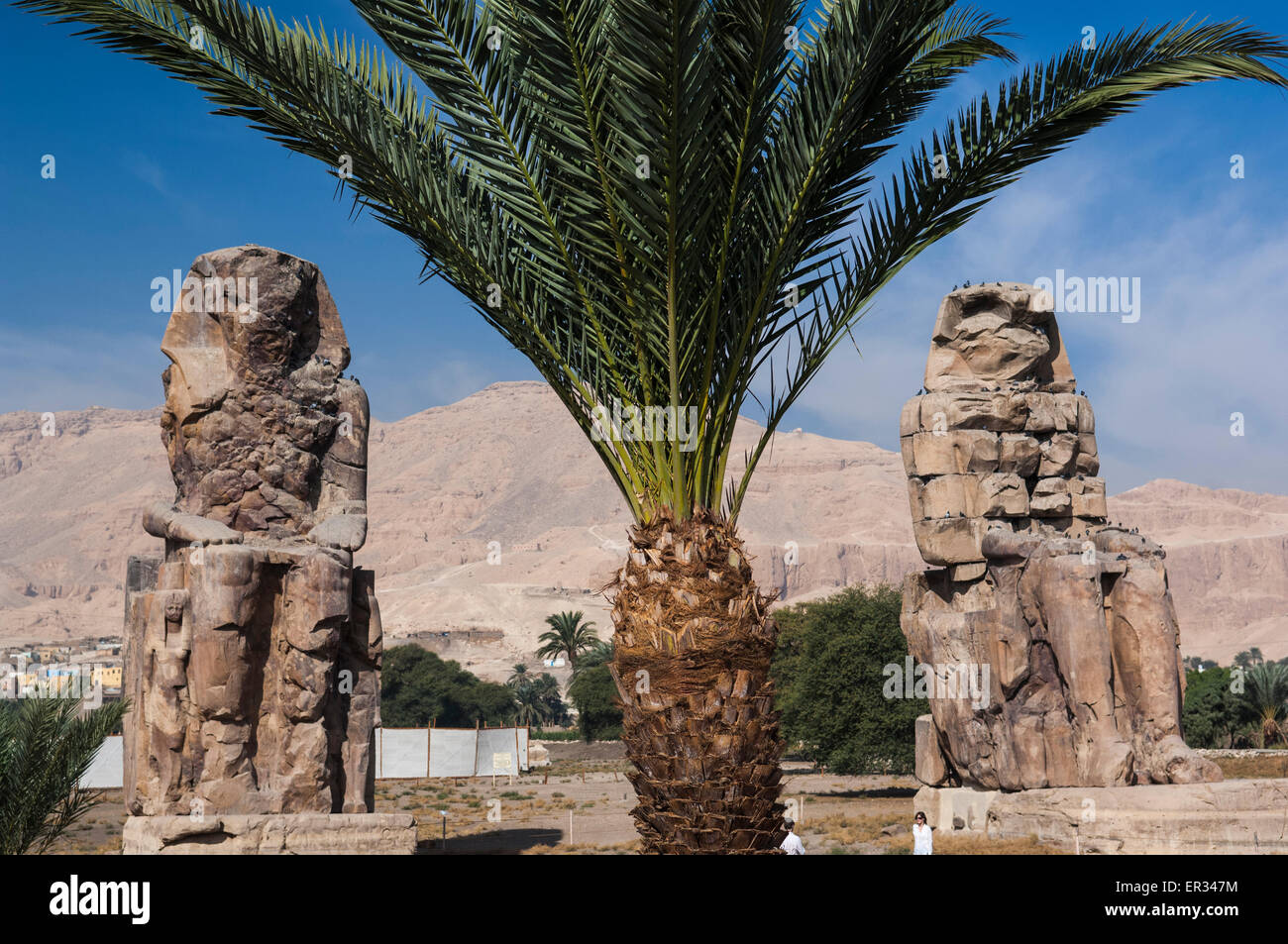Colossi of Memnon statues in Luxor, Egypt Stock Photo - Alamy