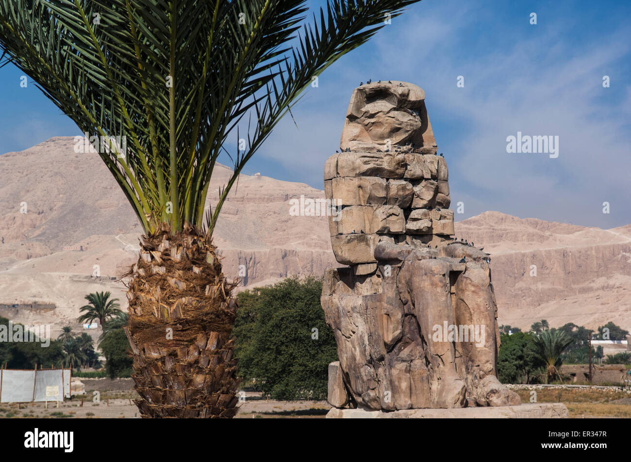 Colossi of Memnon statues in Luxor, Egypt Stock Photo - Alamy