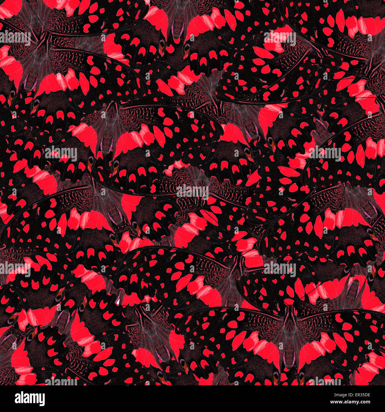 exotic red butterfly as nature background Stock Photo - Alamy