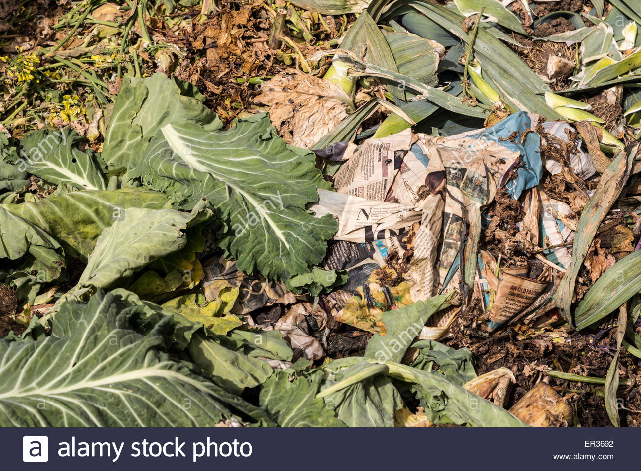 Rotting Vegetables High Resolution Stock Photography and Images - Alamy