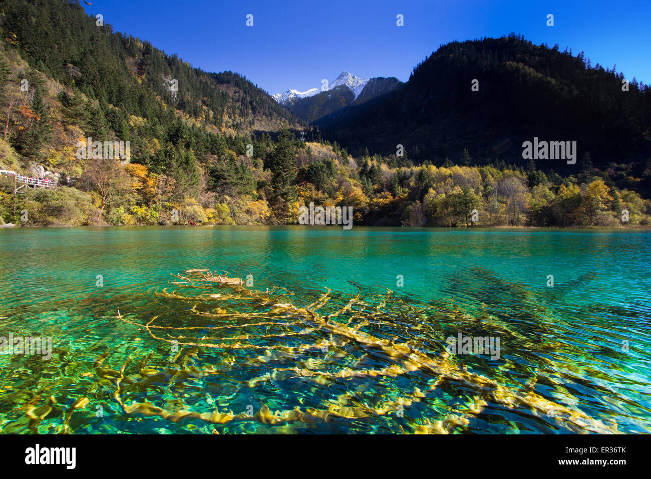 Jiuzhaigou national park five flower hi-res stock photography and ...
