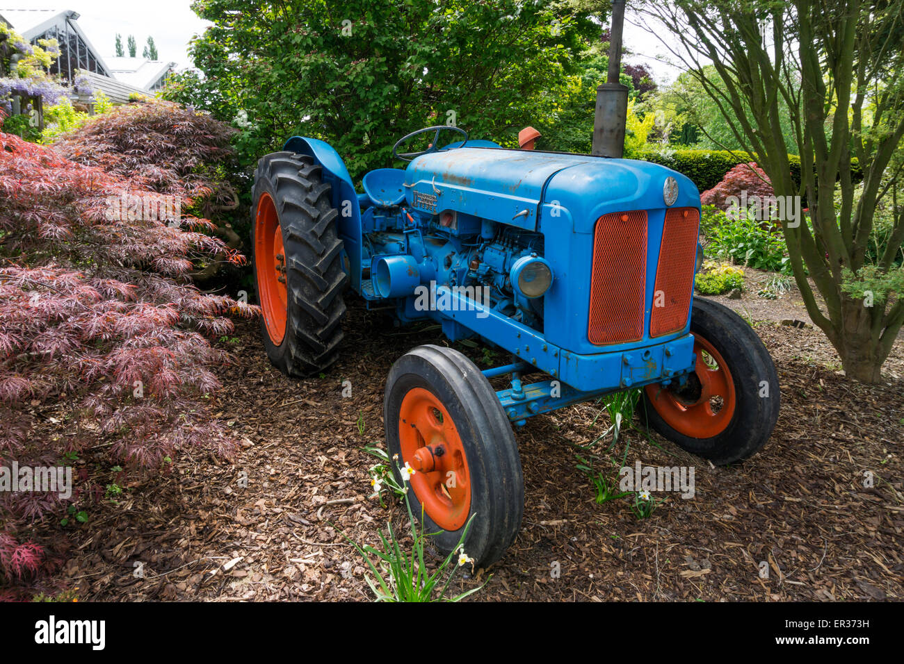 Fordson major diesel tractor hi-res stock photography and images - Alamy