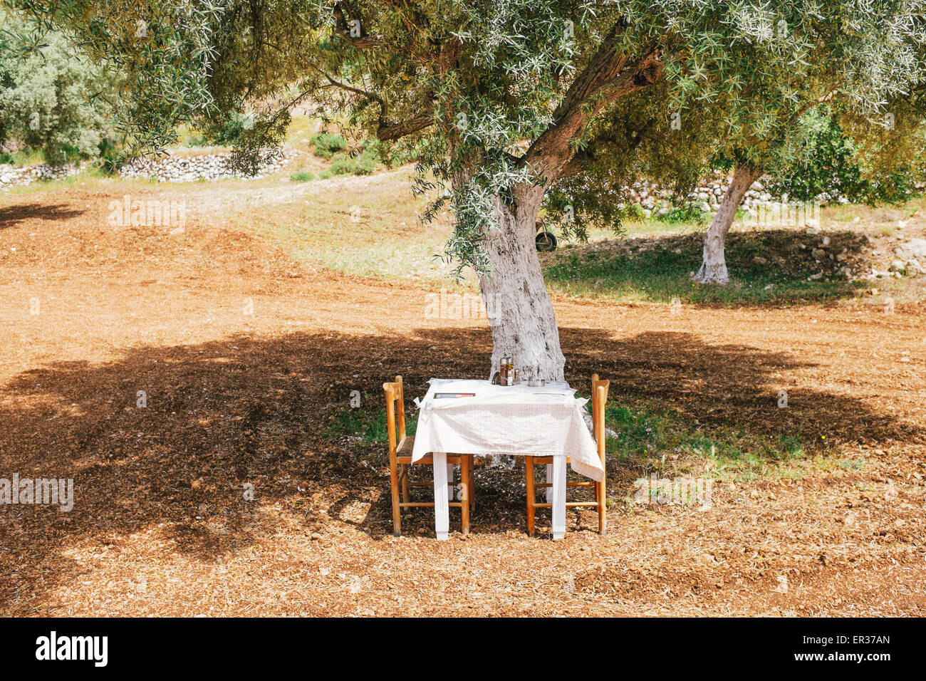 Covered table under an olive tree Stock Photo - Alamy