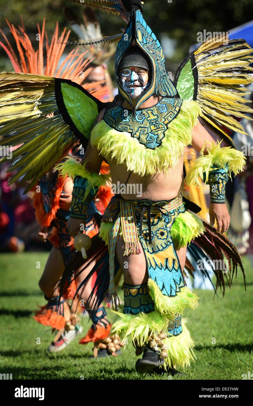 A Native American in full costume dances the traditional American ...