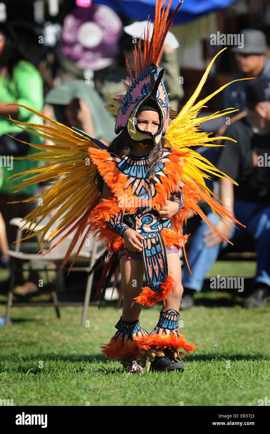 Dressed in traditional ceremonial costume Native Americans take part in ...