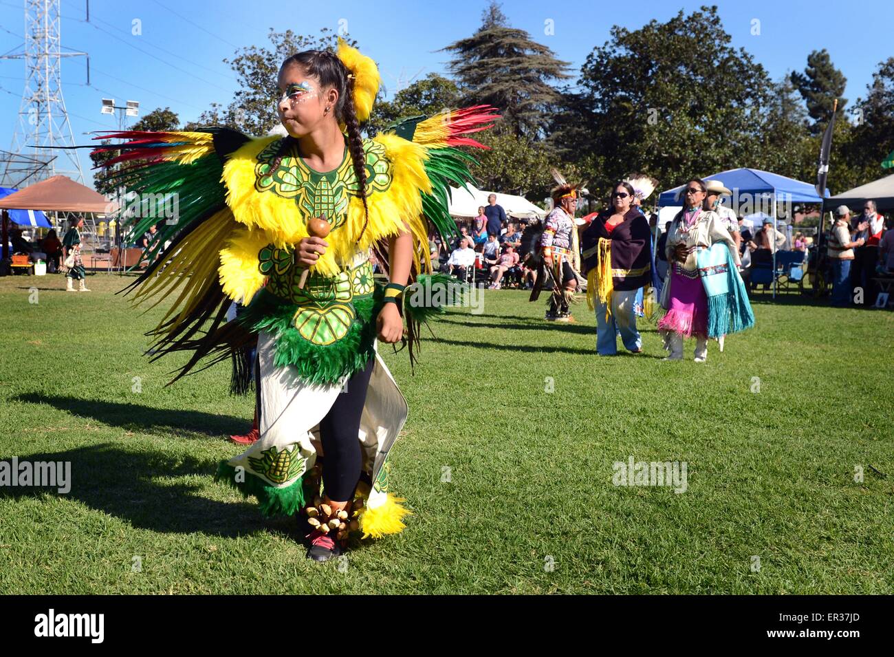 Dressed in traditional ceremonial costume a young Native American ...