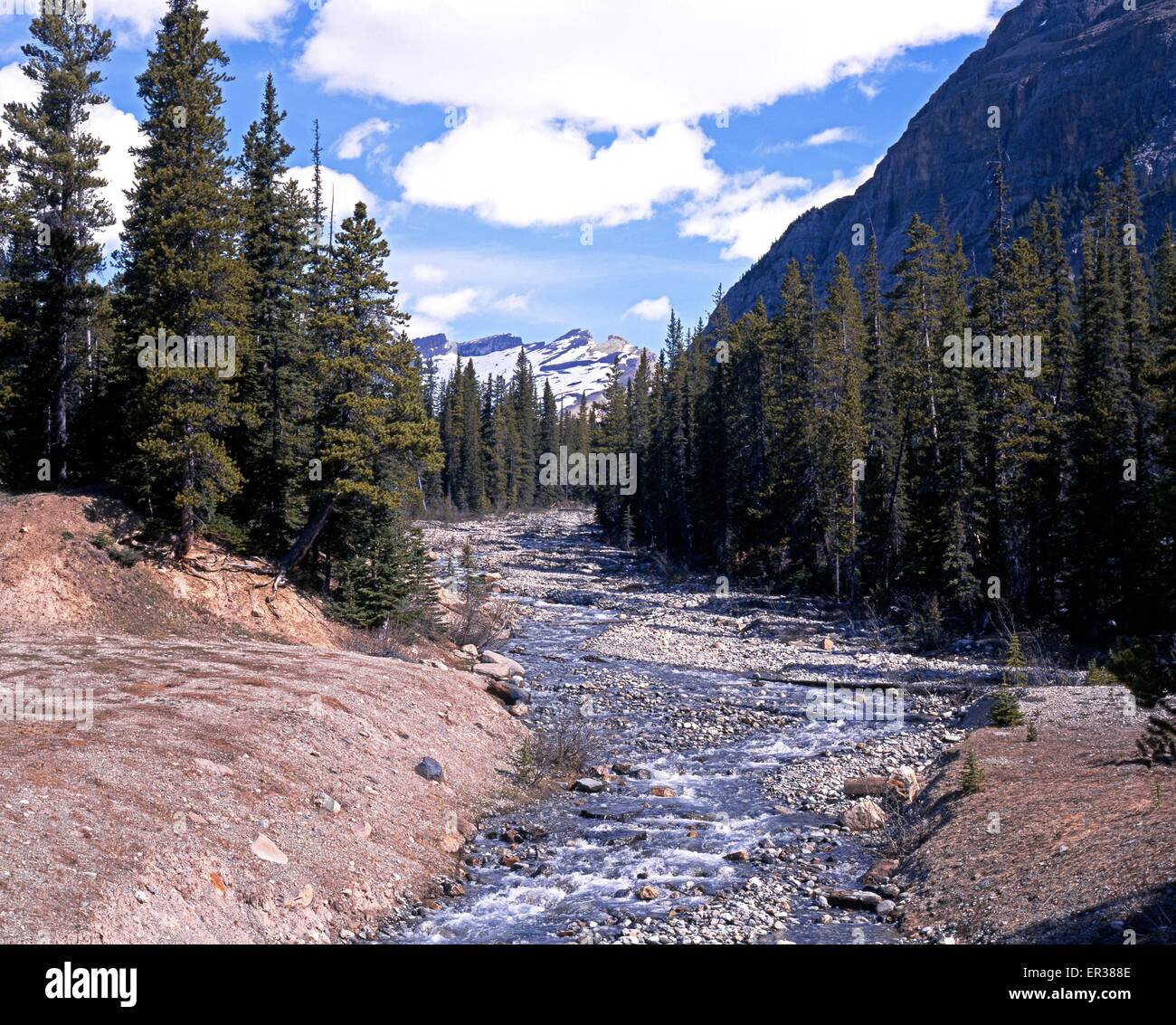 Stream running down mountain along Icefields Parkway, Banff National ...