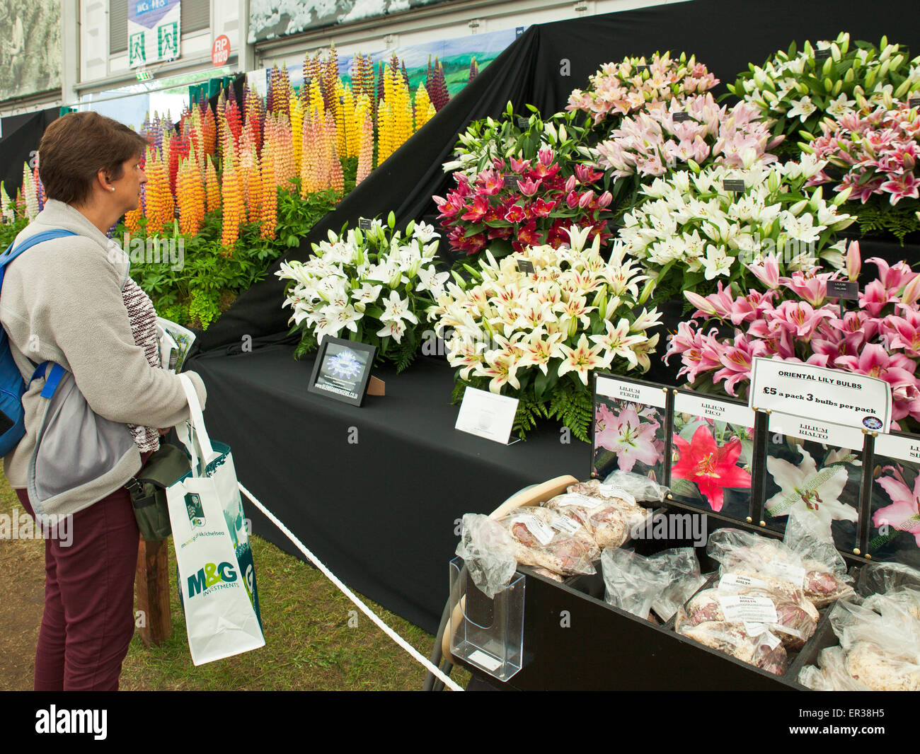 Chelsea flower show display Stock Photo - Alamy