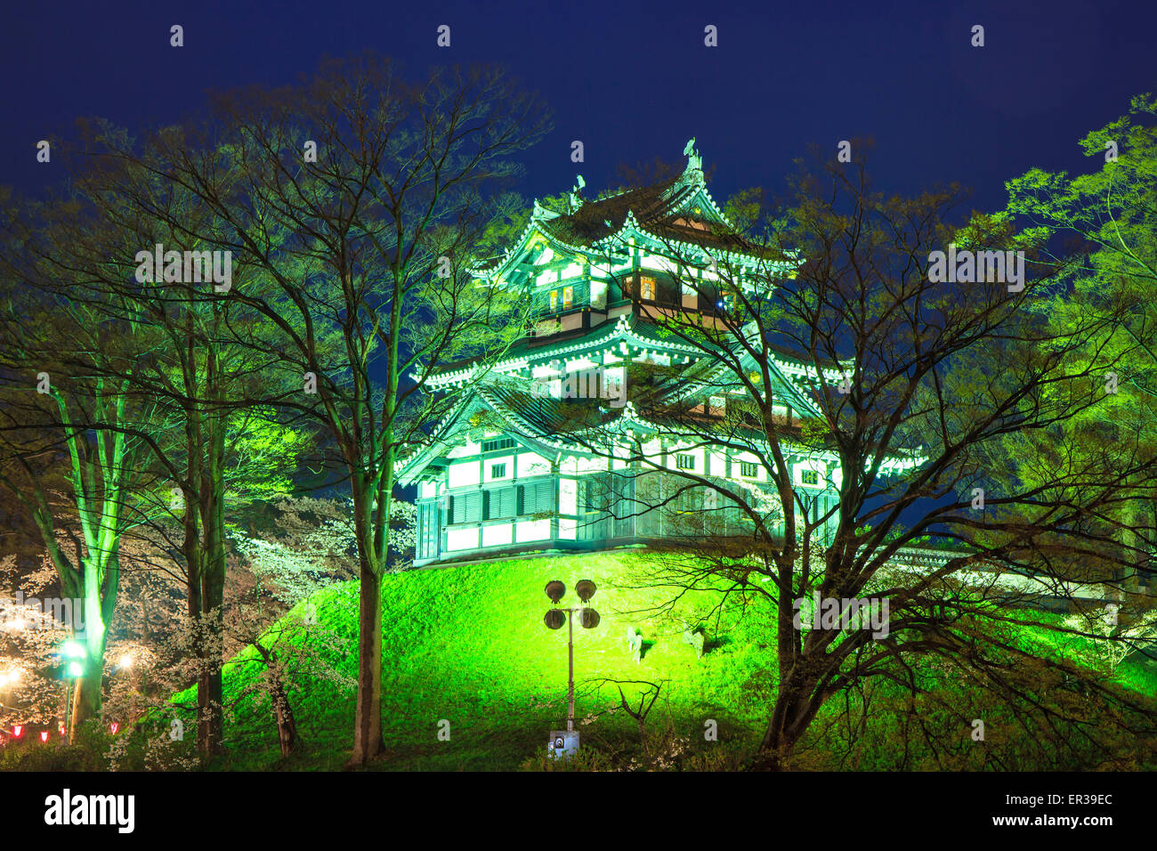 Light up of Takada Castle and Cherry blossoms, Niigata, Japan Stock ...