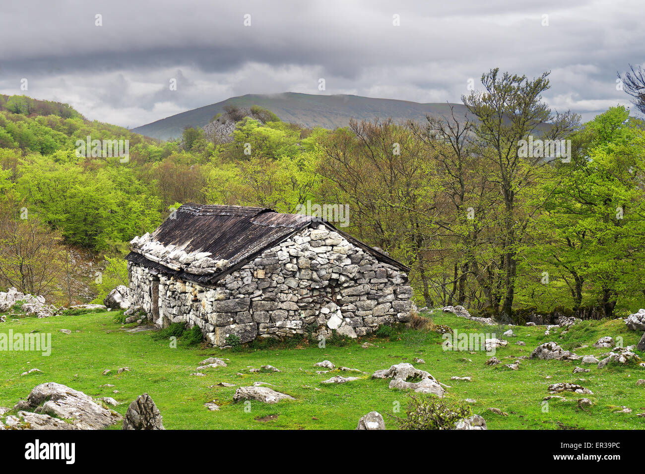 Spring shed hi-res stock photography and images - Alamy