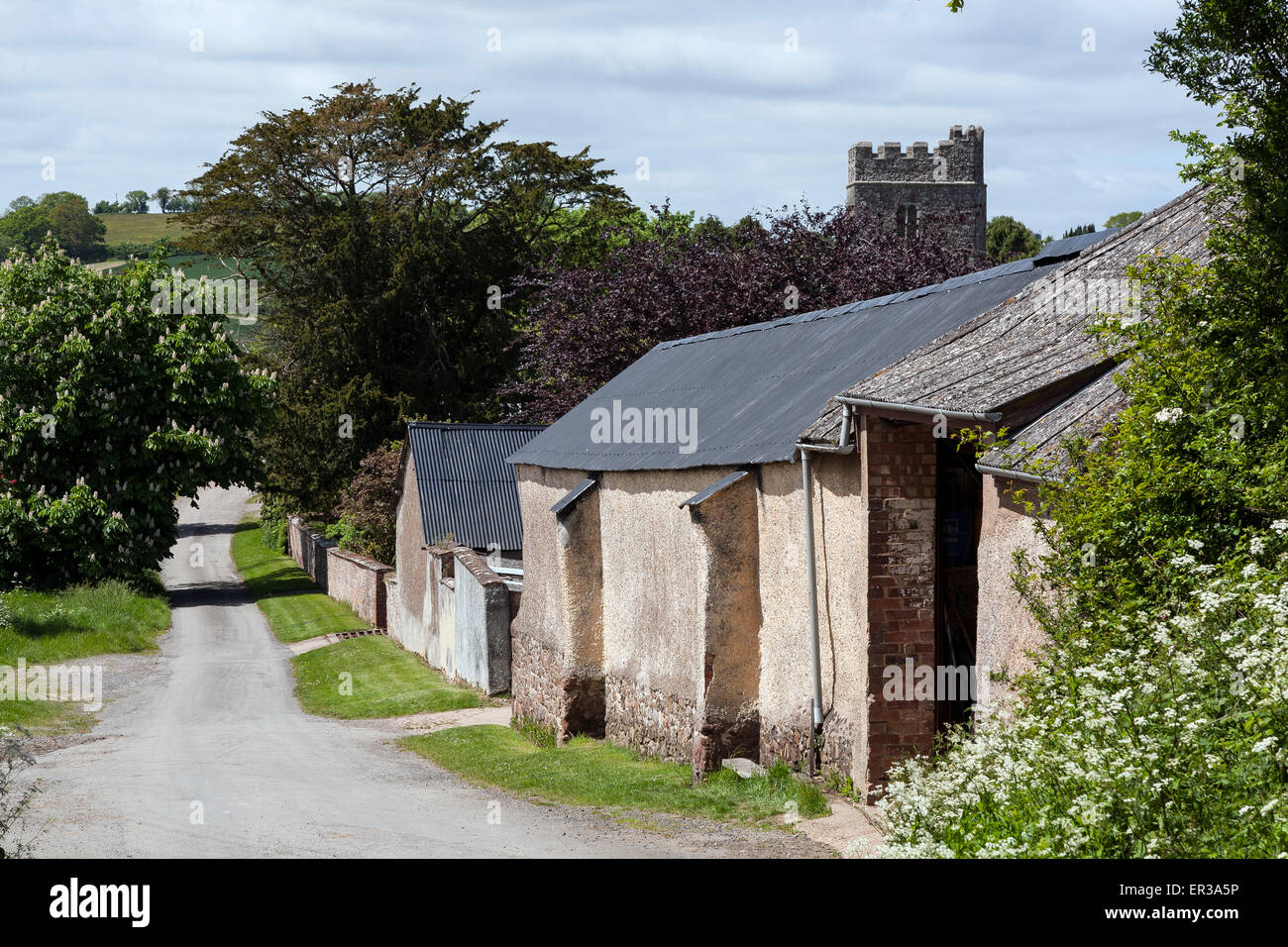 Village holcombe burnell civil parish hi-res stock photography and ...