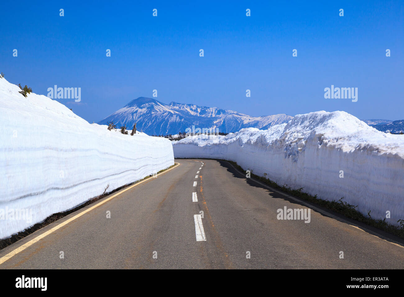 Hachimantai Aspite Line, Corridor of Snow, AkitaIwate, Japan Stock ...